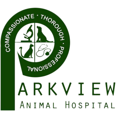 Vet Near Me Newton, IA 50208 | Parkview Animal Hospital